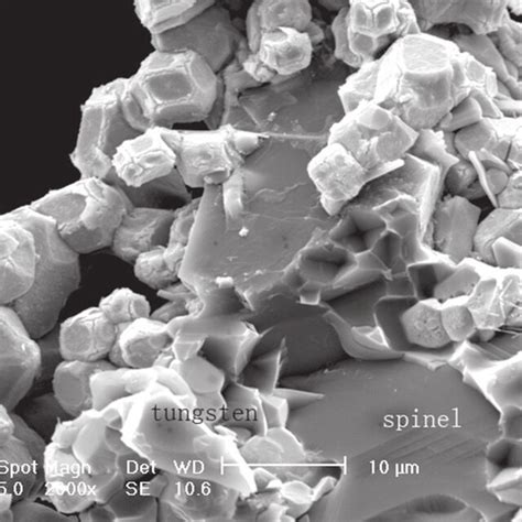 Sem Micrographs Of Mgal 2 O 4 W Composite With 0 1 4 2 1 Mol White