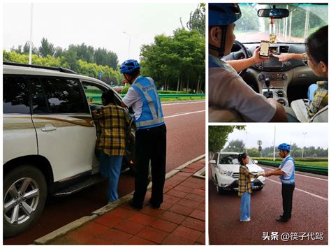 十大代驾app排行榜哪个代驾软件用的人最多 纯电车