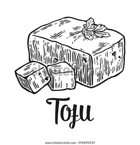 Tofu Vector Vintage Engraved Illustration Isolated Stock Vector