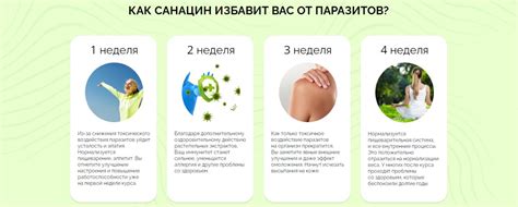 Купить Санацин за 75 рублей в аптеке Xsrussia