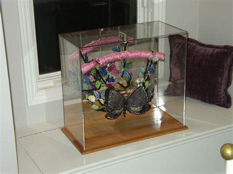 Custom Special Memento Display Case By Grandpa S Cabinets CustomMade Com