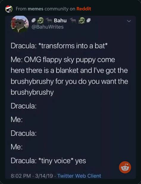 1 Best U Cute But Bites Images On Pholder Anyone Else Needs Click To Read This