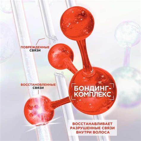 Шампунь Elseve Молекулярное Восстановление для поврежденных волос