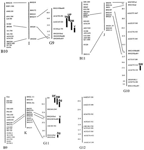Qtl Plots For The 14 Agronomic Traits In Common Bean And The Alignment Download Scientific