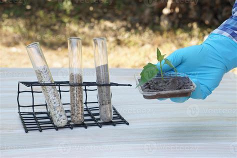 Test Tubes That Contain Sample Soil Concept Soil Quality Inspection