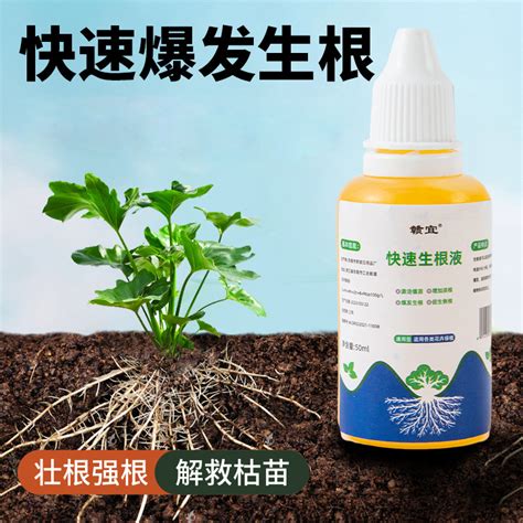 快速生根液 阿里巴巴