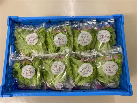 やさいバス フレアベルディ リーフレタス