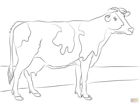 Ausmalbild Holstein Rind Ausmalbilder Kostenlos Zum Ausdrucken