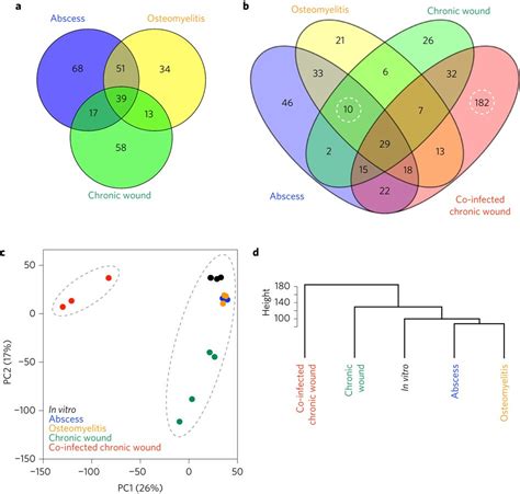 Co Infecting Microbes Impact Pathogen Gene Essentiality During Polymicrobial Infection