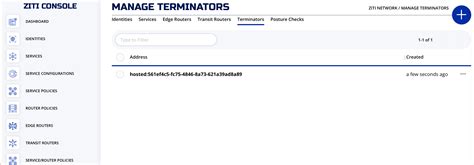 openziti and terminators building development openziti