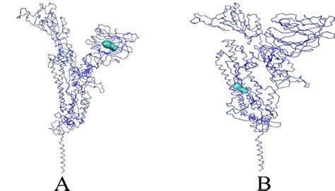 Site Of Receptor Where Ligand Binds To The Delta Monomer Of Sars Cov