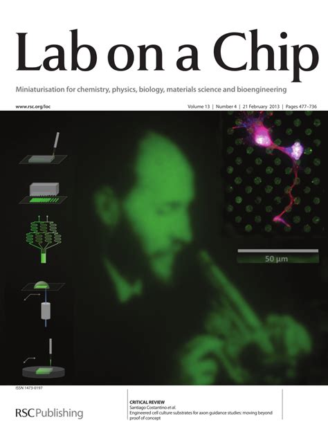 Pdf Engineered Cell Culture Substrates For Axon Guidance Studies