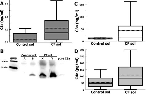 Complement Anaphylatoxins In Cf And Control Lung Fluid A C5a