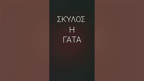 ΣΚΎΛΟΣ Η ΓΑΤΑ Youtube