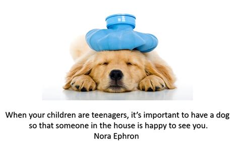 Kccs Quizzes Aqq275 About Counting A Particular Digit In A Series Of Numbers Quizzes Logic