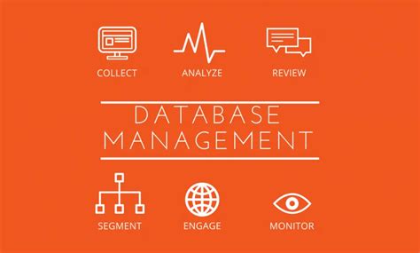 Database Management In Ahmedabad ID