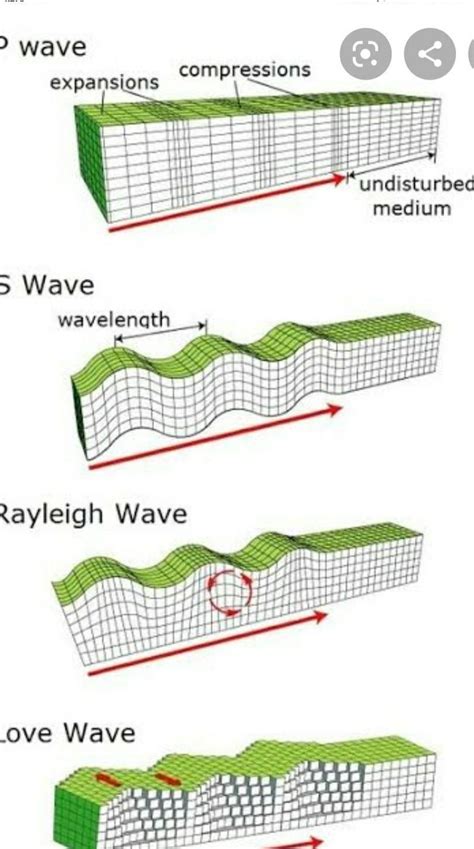 Seismic Waves Diagram