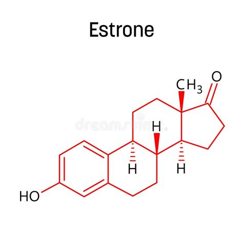 Estrone Structural Formula Of Molecular Structure Stock Vector