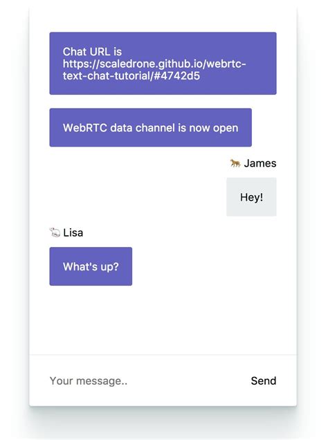 1 On 1 Webrtc Chat Tutorial Rprogramming