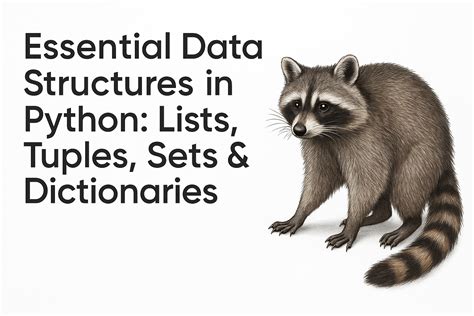 Essential Data Structures In Python Lists Tuples Sets And Dictionaries Nomidl