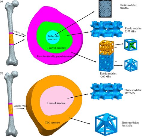 Schematic Diagram Of Modular Division Of Porous Scaffold A Interface
