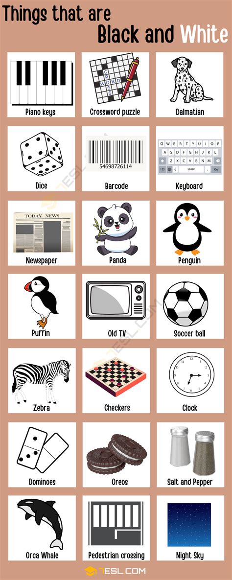 Black And White Objects Black And White Still Life Photography How To