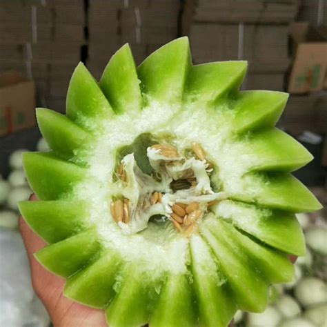玉菇甜瓜哪里产的 南汇玉菇甜瓜产地 玉菇甜瓜 大山谷图库