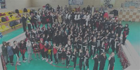 نین جوتسو شیراز کونوایچی‌های شیراز