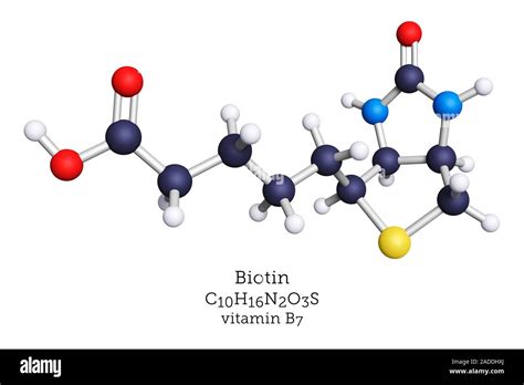 Biotin Vitamin B7 Is A Cofactor For Several Carboxylase Enzymes