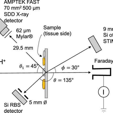 Schematic Illustration Of The Microprobe Setup At The Louisiana