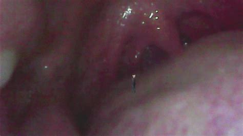 Teenie Boyfriend Bounces Around In Giantess Girlfriend Sexy Giant Mouth