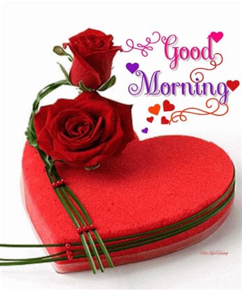 Free Good Morning Images Beautiful Good Morning Images