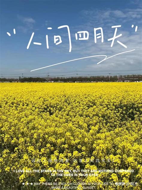 人间最美四月天 知乎