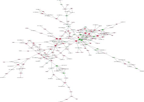 Coexpression Network Of Mrnas And Lncrnas The Triangles Represent Download Scientific Diagram
