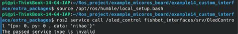 The Passed Service Type Is Invalid 鱼香ros