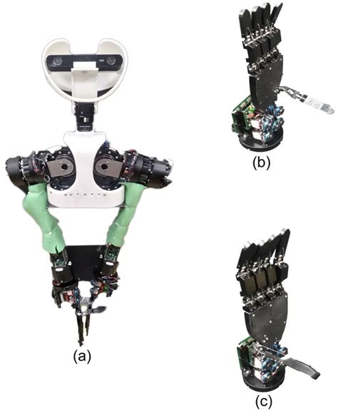 dual arm manipulation biorobotics lab