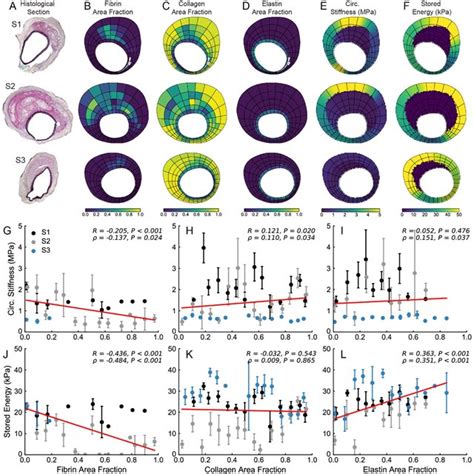 Local Relationship Between Microstructure And Material Properties Of