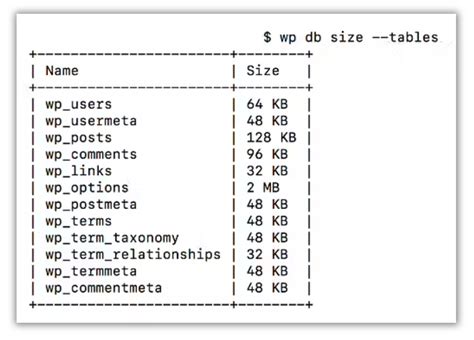 Top Wp Cli V2 Commands To Manage Wordpress Like A Pro Fastcomet