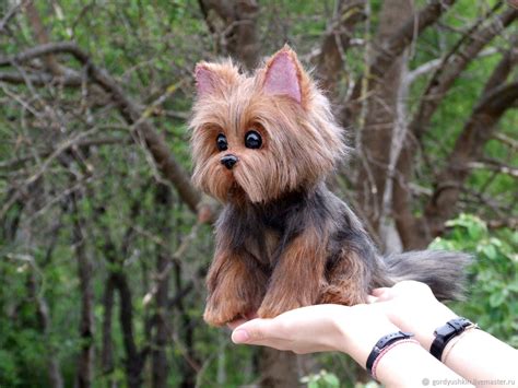 Йорк и дети 53 фото картинки Sobakovodclub