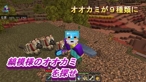 【マインクラフト統合版140】オオカミが9種類に 縞模様のオオカミを探せ Youtube