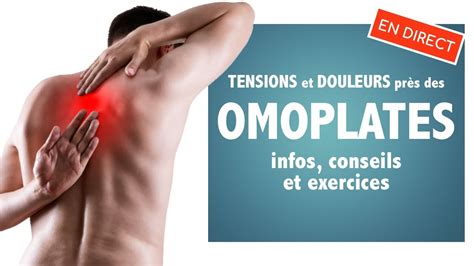 Douleurs et tensions près des OMOPLATES infos conseils et exercices
