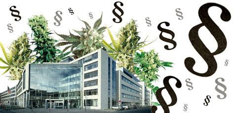 Zwei Jahre Cannabis Als Medizin Gesetz In Deutschland Hanfjournal
