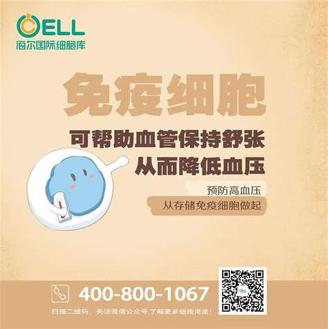 517世界高血压日 让你的血压更健康海尔国际细胞库 站酷zcool