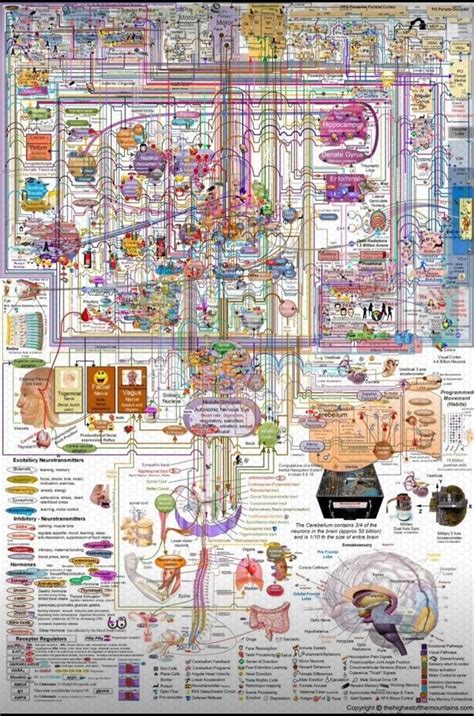 Sashikant Mohanty On Linkedin Gpt3 Llms Chatgpt Gpt3