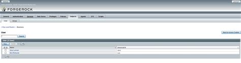 Forgerock Integration With Payara Server Part 2 Access Deploy And Test