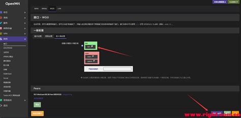 关于在OpenWrt中的Wireguard和frp配合使用的心得 这是本大人的一个网站
