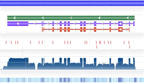 Using NCBI S Primer BLAST To Design Analyze PCR Primers NCBI Insights