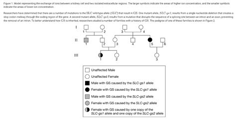 Gitelman Syndrome Gs Is A Heritable Disorder Caused