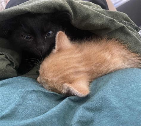 Diana Moissant Diana Moissant Added A New Photo