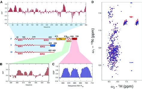 NMR Characterization Of NiV Phosphoprotein N Terminal Region P NTR